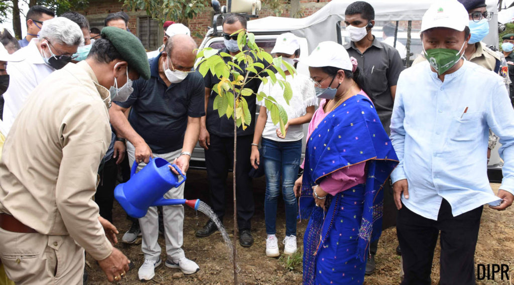 Manipur government takes up mass tree plantation at Kangpokpi ...